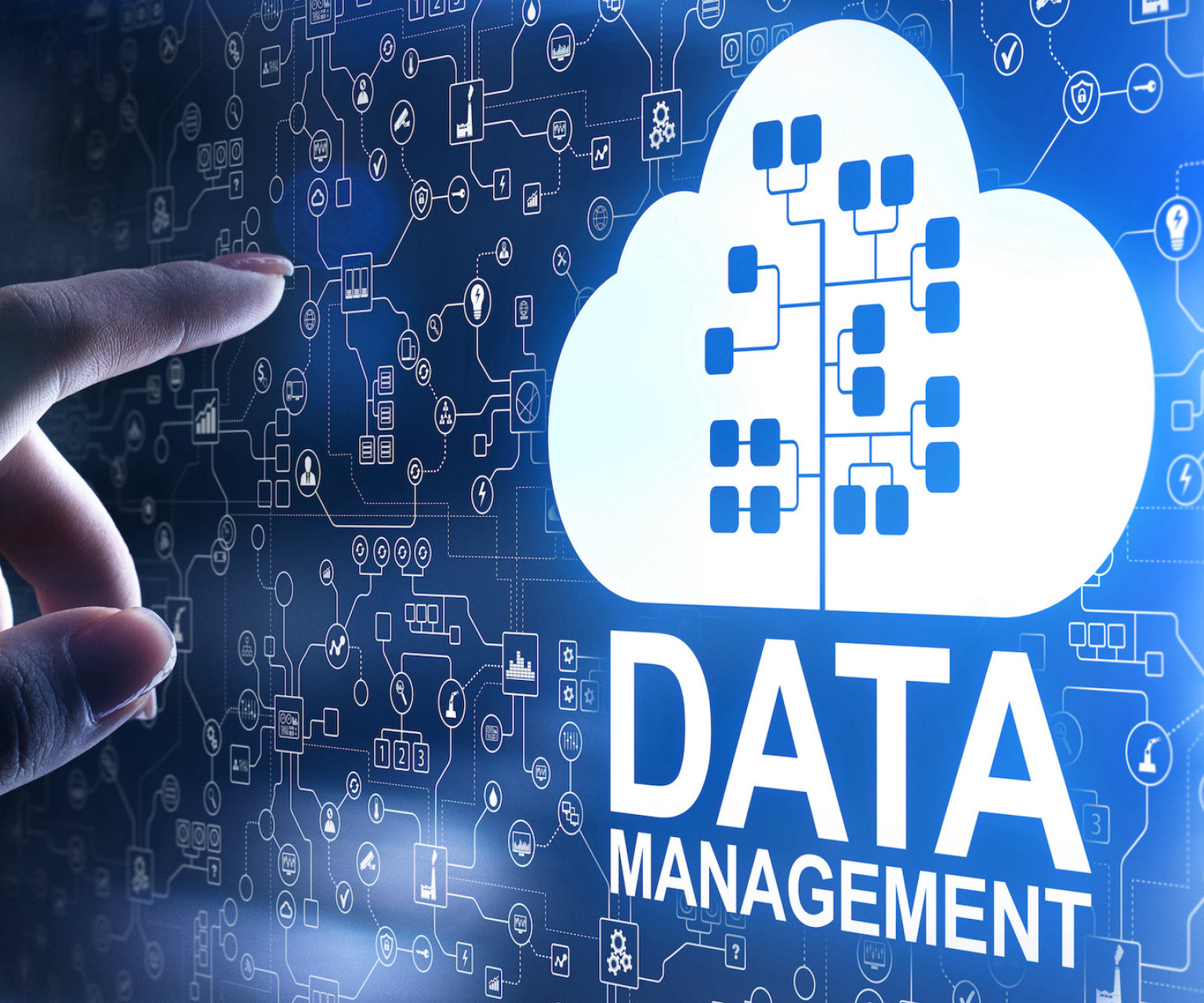 Pelatihan Database Management and Filing System